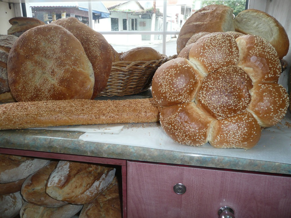 ΤΟ ΧΡΥΣΟ ΣΤΑΧΥ